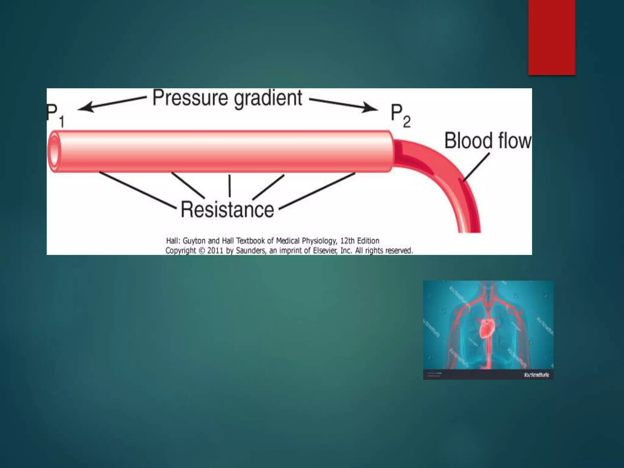 Hemodynamics over view of circulation | PPT