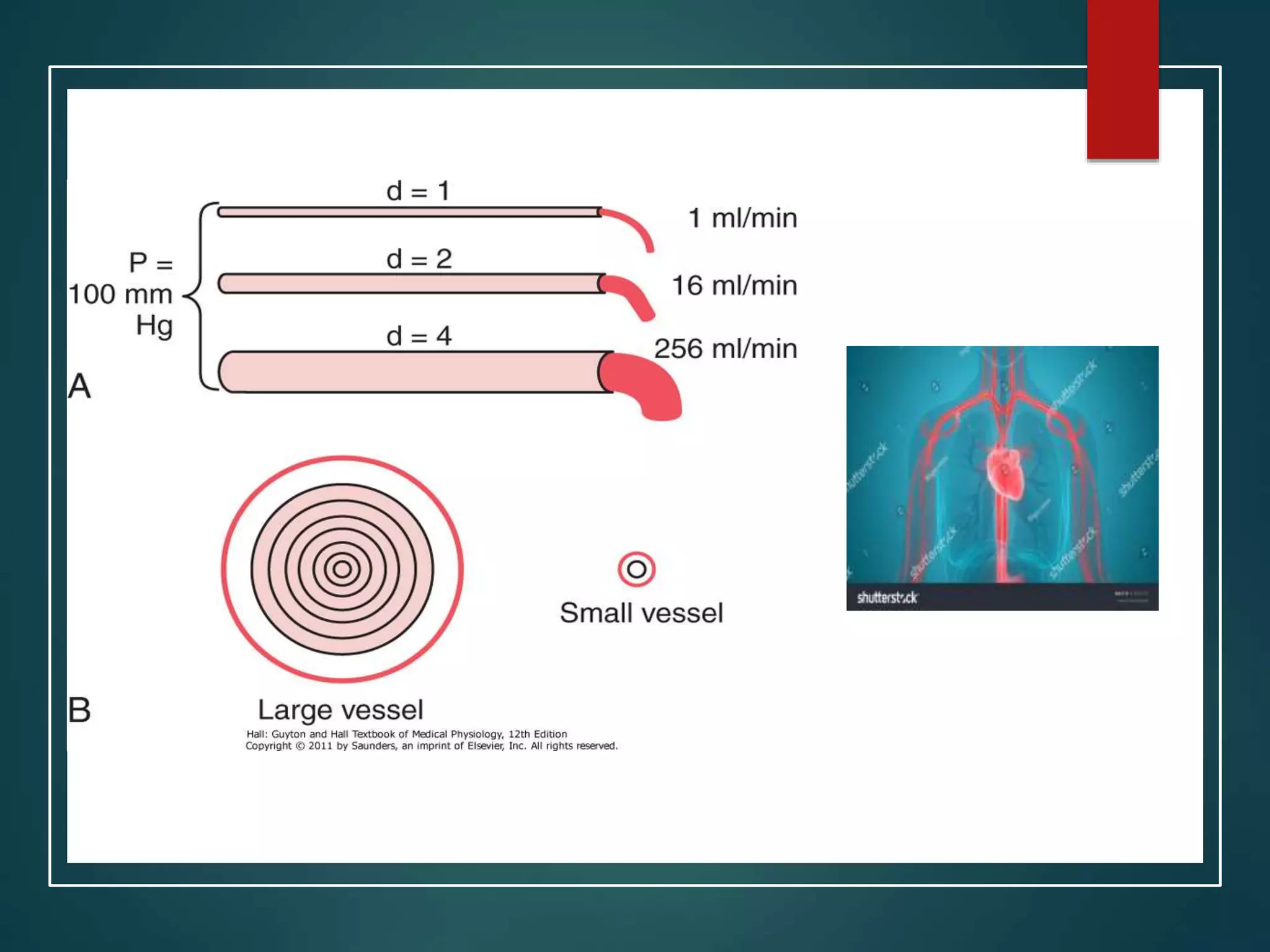 Hemodynamics over view of circulation | PPT