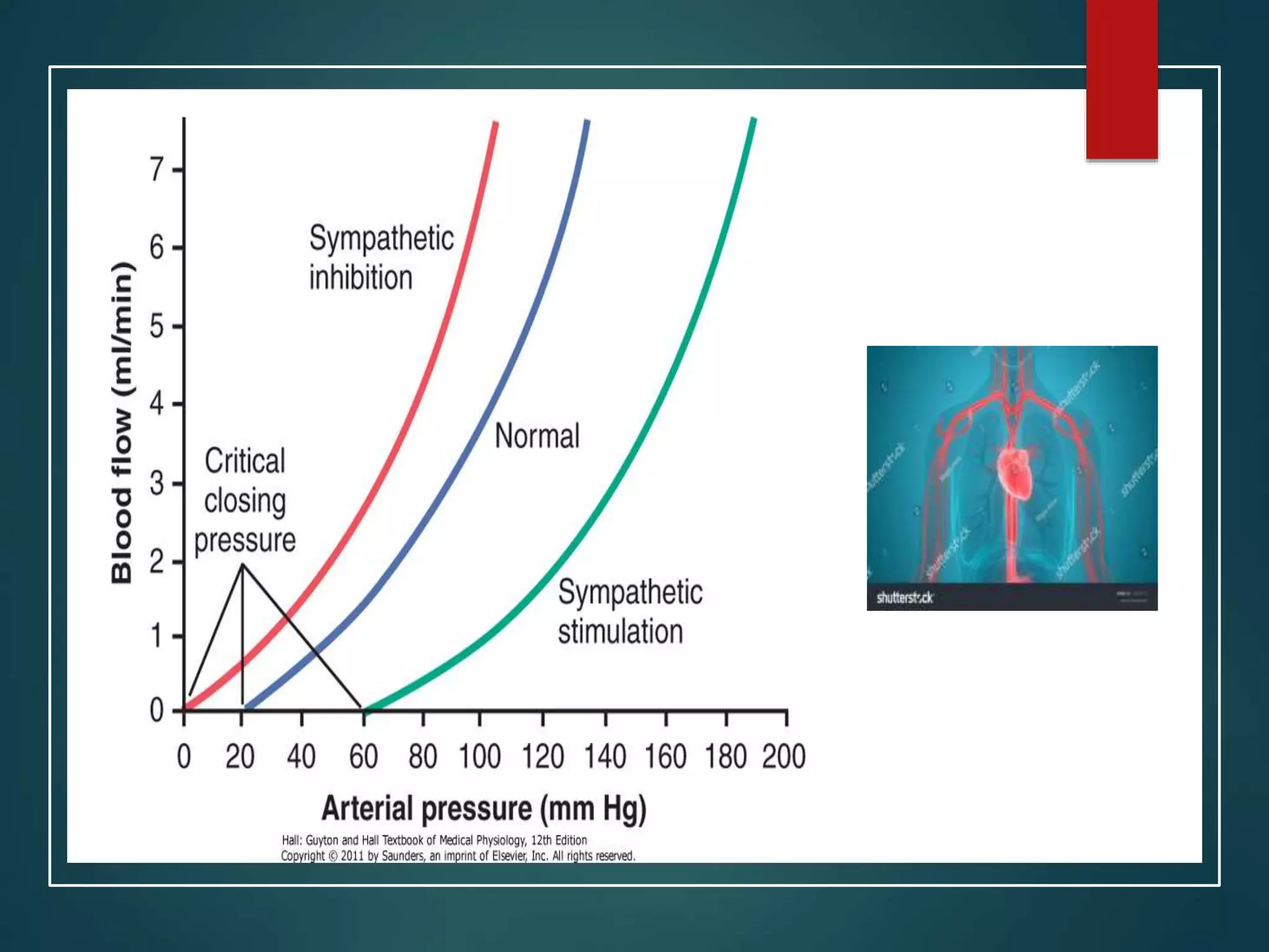 Hemodynamics over view of circulation | PPT