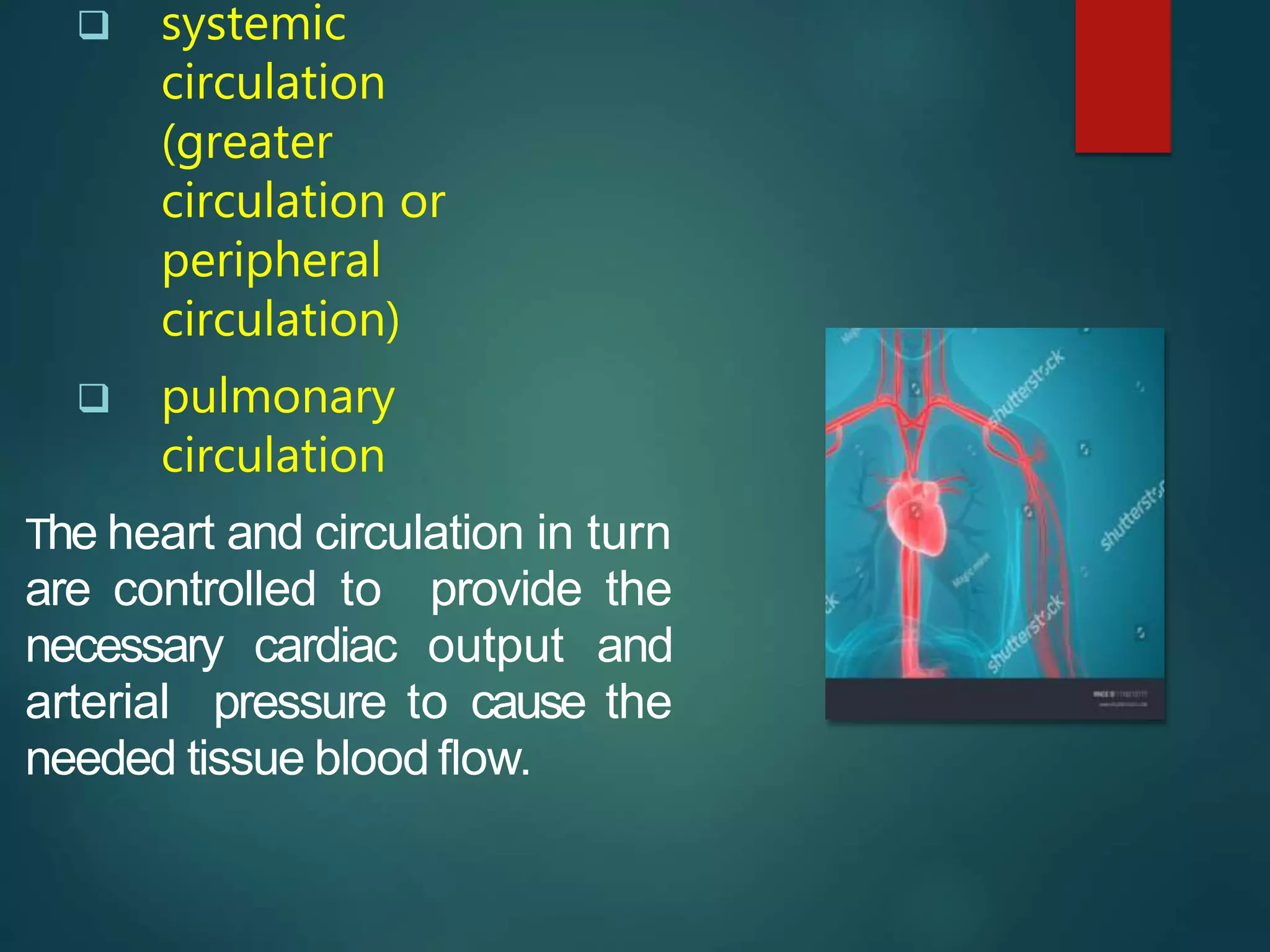 Hemodynamics over view of circulation | PPT