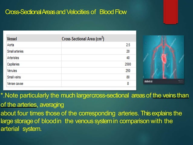 Hemodynamics over view of circulation | PPT | Heart and Cardiovascular ...