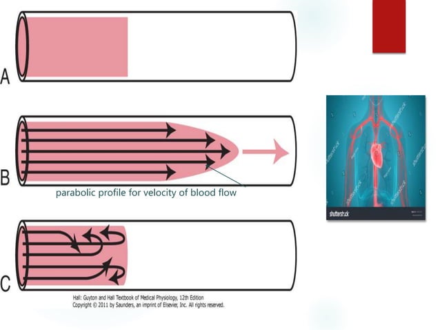 Hemodynamics over view of circulation | PPT | Heart and Cardiovascular ...
