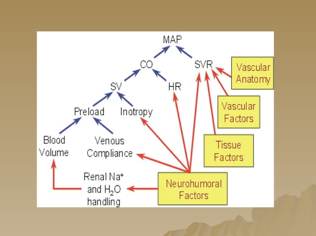 Hemodynamics Basic Concepts | PPT | First Aid | Injuries