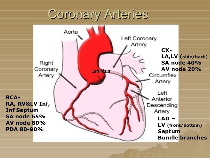 Hemodynamics Basic Concepts