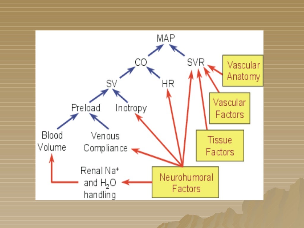 Hemodynamics Basic Concepts