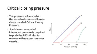 Hemodynamics in CVS of physiology- c.pptx