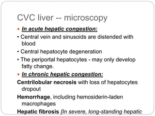 Hemodynamics congestion & hyperemia | PPTX