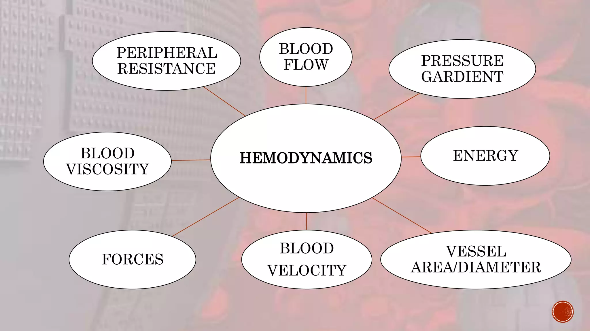 HEMODYNAMICS 202.pptx