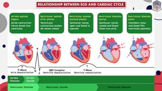 hemodynamics and electrophysiology of heart.pptx