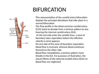HEMODYNAMICS OF VASCULAR DISEASES ppt.pptx