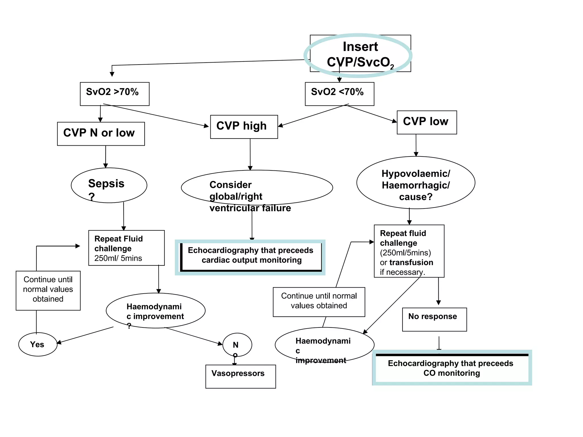 Hemodynamic Stabilisation In Septic Shock | PPT