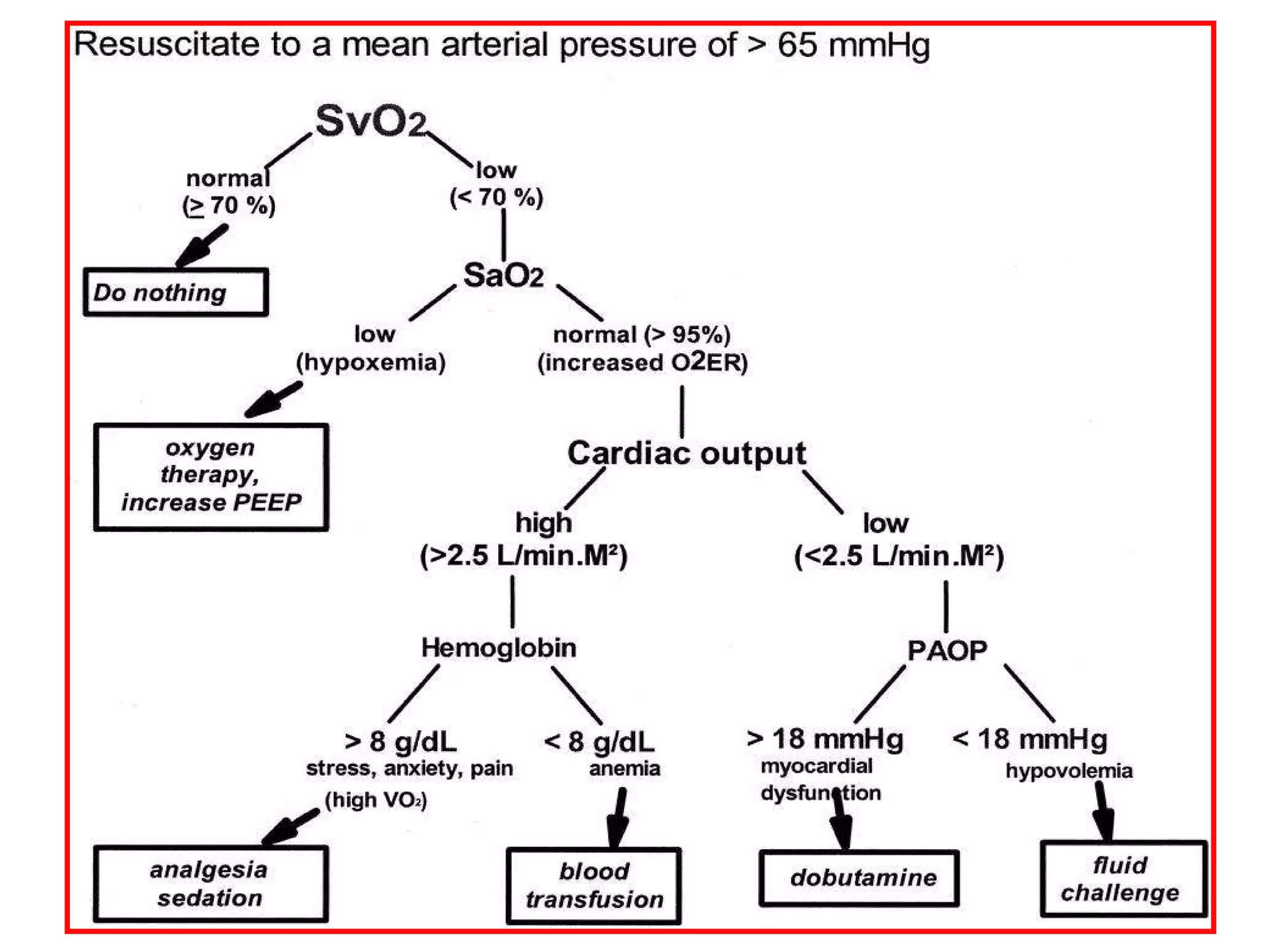 Hemodynamic Stabilisation In Septic Shock | PPT