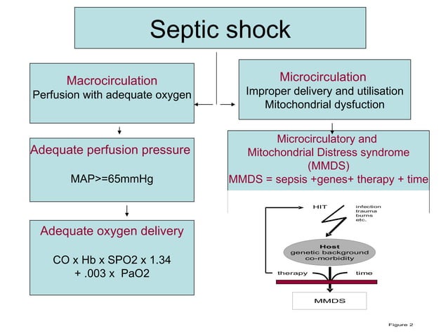 Hemodynamic Stabilisation In Septic Shock | PPT | First Aid | Injuries