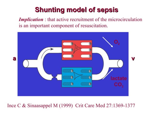 Hemodynamic Stabilisation In Septic Shock