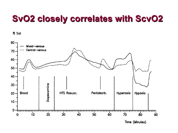 Hemodynamic Stabilisation In Septic Shock