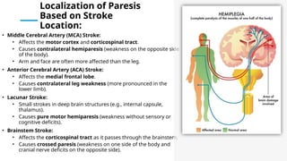 Neurology Hemodynamic stroke brain stroke | PPT