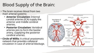 Neurology Hemodynamic stroke brain stroke | PPTX