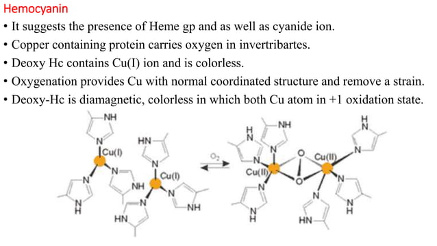 Hemoerythrine and Hemocyanin.pptx