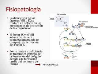 Hemofilia | PPTX