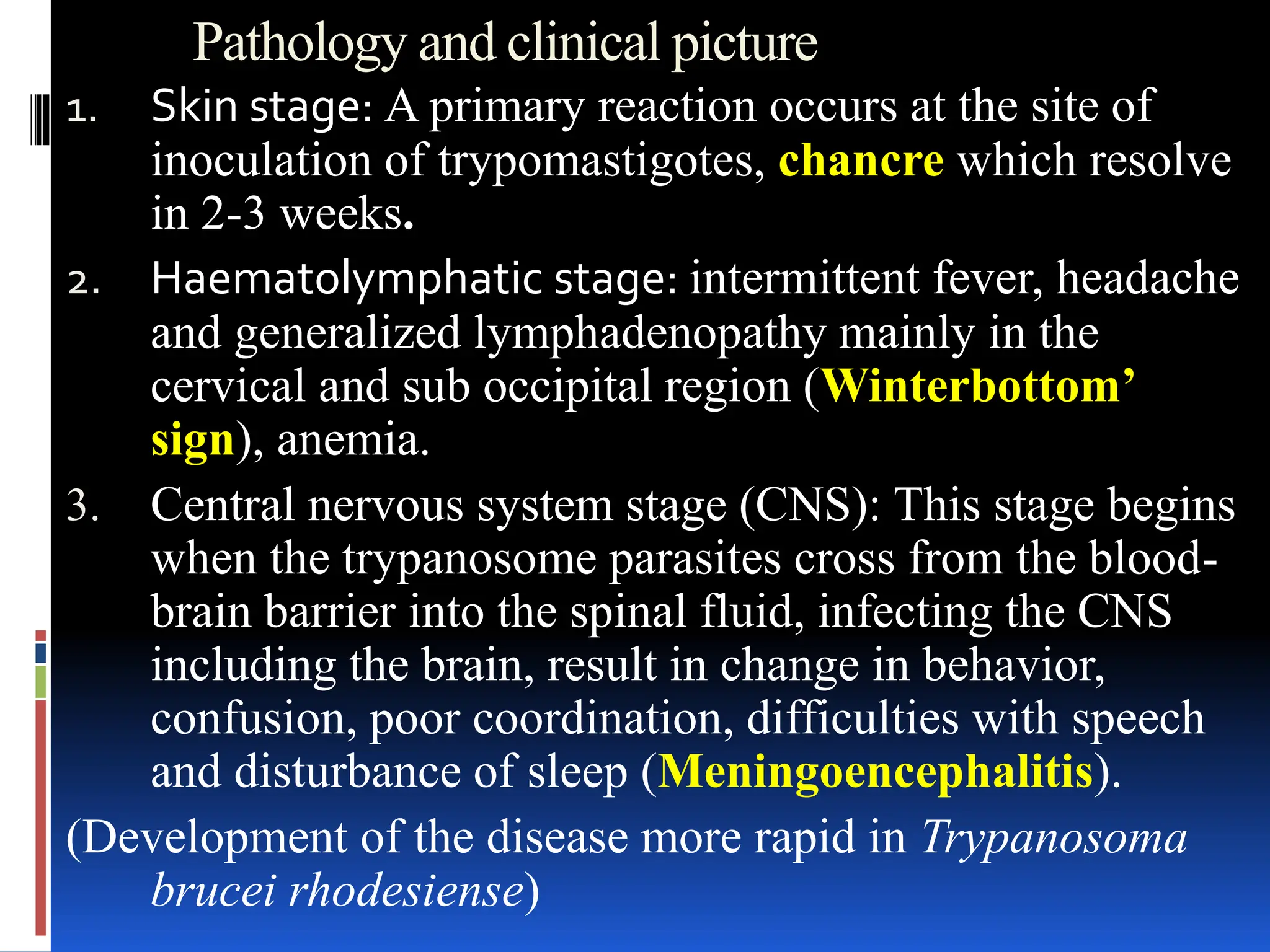 hemoflagellates trypanosomaibrahim 2017.pptx