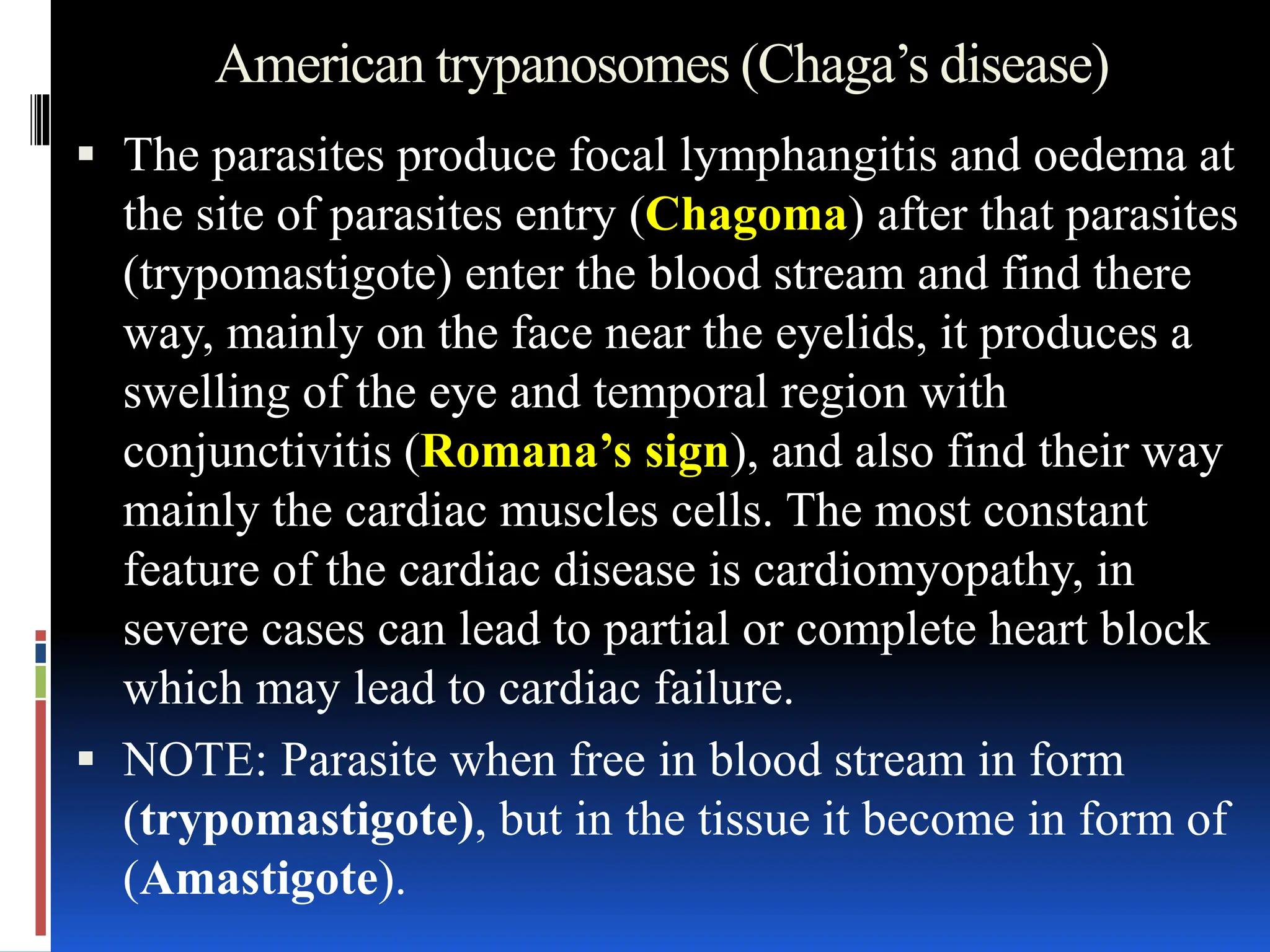 hemoflagellates trypanosomaibrahim 2017.pptx