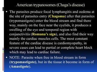 hemoflagellates trypanosomaibrahim 2017.pptx