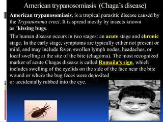 hemoflagellates trypanosomaibrahim 2017.pptx | Brain and Nervous System ...