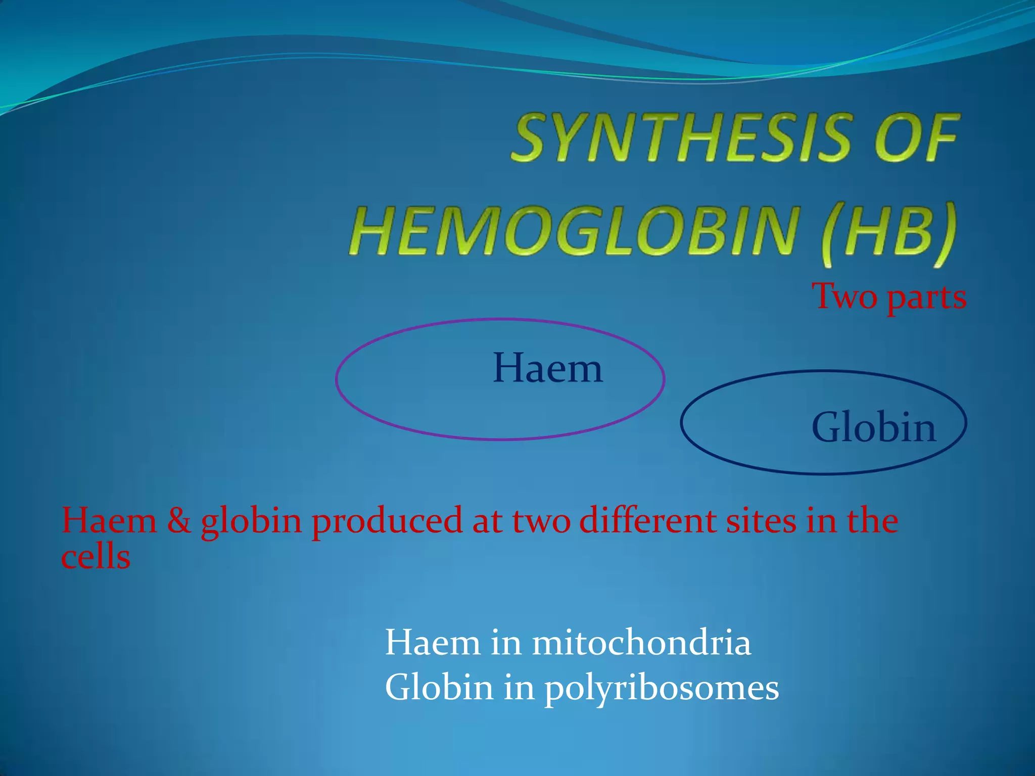 Hemoglobin | PPTX