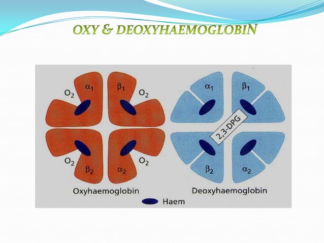 Hemoglobin | PPTX