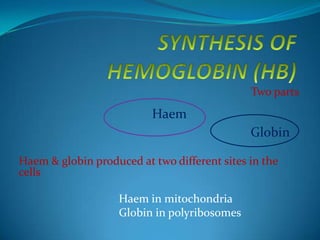 Hemoglobin | PPTX