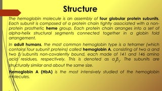 Hemoglobin | PPT