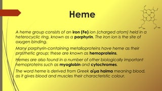 Hemoglobin | ODP