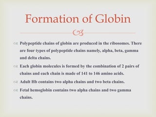 Hemoglobin Synthesis | PPTX