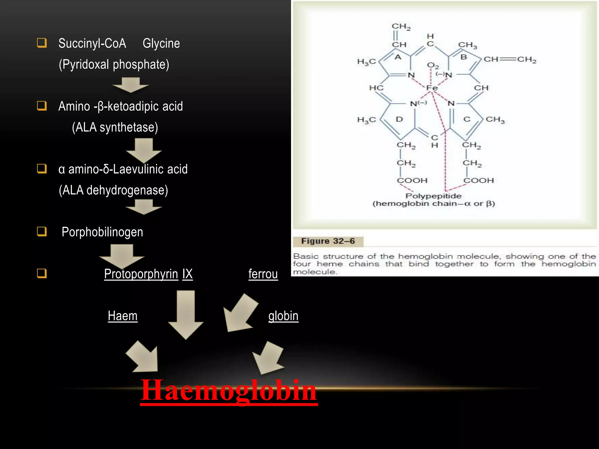 Hemoglobin | PPTX
