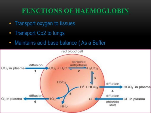Hemoglobin | PPTX