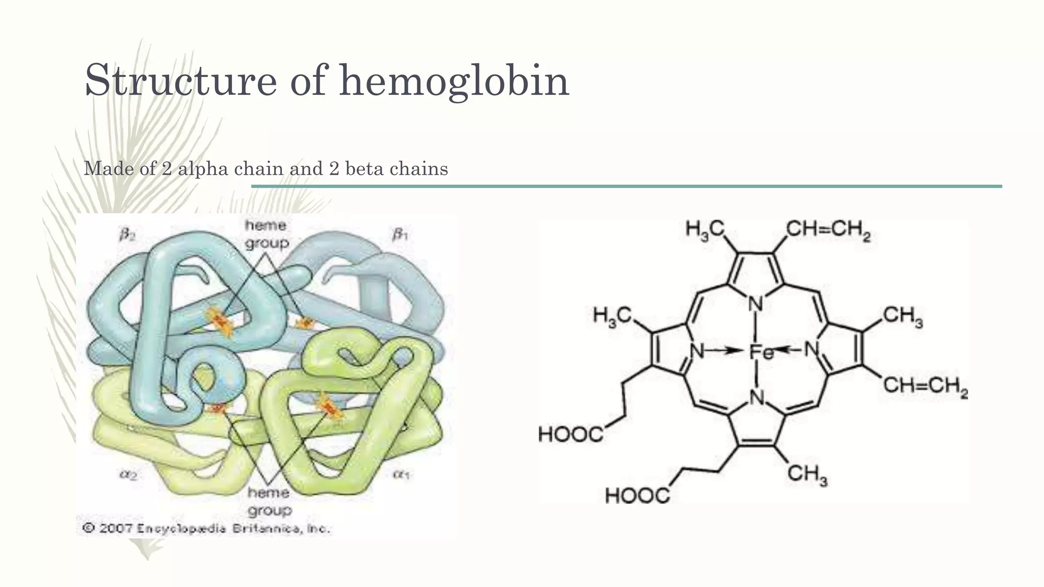 Hemoglobin | PPT
