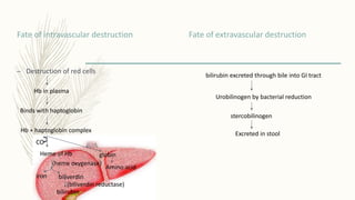 Hemoglobin | PPT