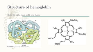 Hemoglobin | PPT