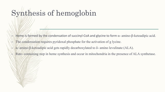 Hemoglobin | PPT