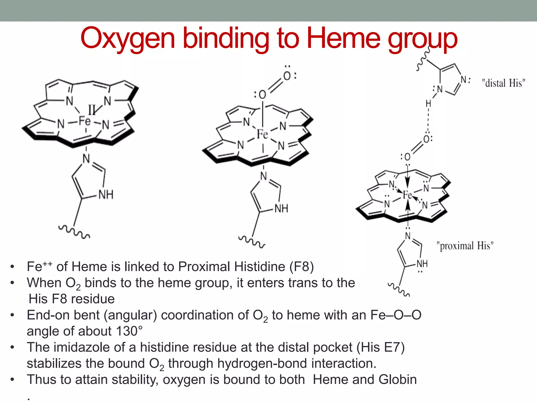 Chemistry and function of Hemoglobin | PPTX