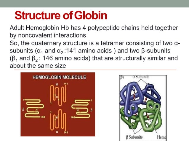 Chemistry and function of Hemoglobin | PPTX | Biological Sciences | Science