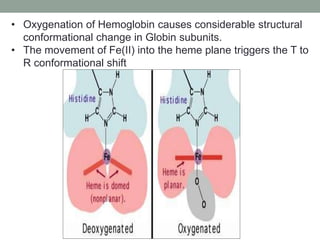 Chemistry and function of Hemoglobin | PPTX