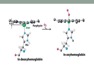 Chemistry and function of Hemoglobin | PPT