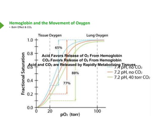 Hemoglobin.pptx