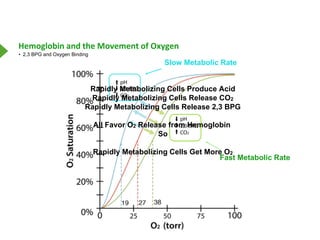 Hemoglobin.pptx