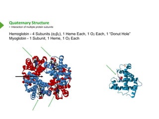 Hemoglobin.pptx