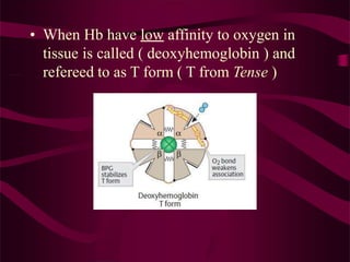 Hemoglobin Lecture for bs mlt | PPTX