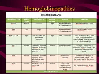 Hemoglobin Lecture for bs mlt | PPTX