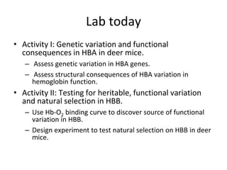 hemoglobin-lab-presentation.pptx