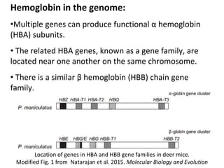 hemoglobin-lab-presentation.pptx